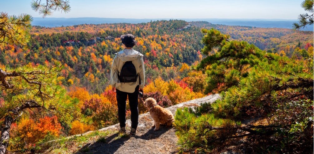 Challenge #4 | The Pacer Virtual Challenges