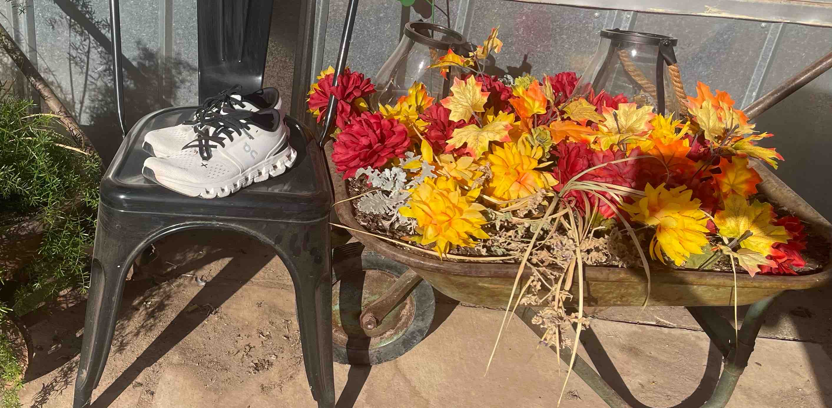 Step into Fall | The Pacer Virtual Challenges
