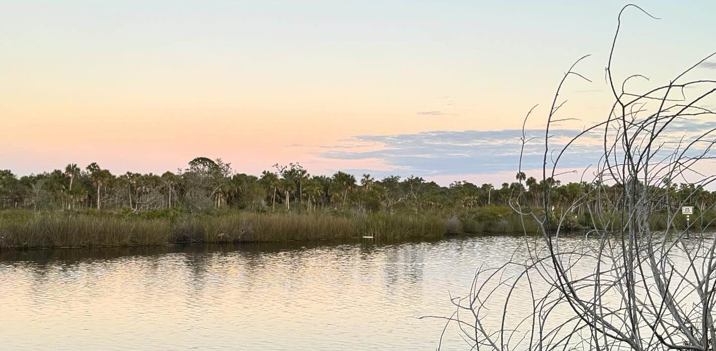 Steps Week 2 November from More step, more calories burn