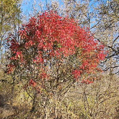 3 K ONLY from BB STEPATHON 2024