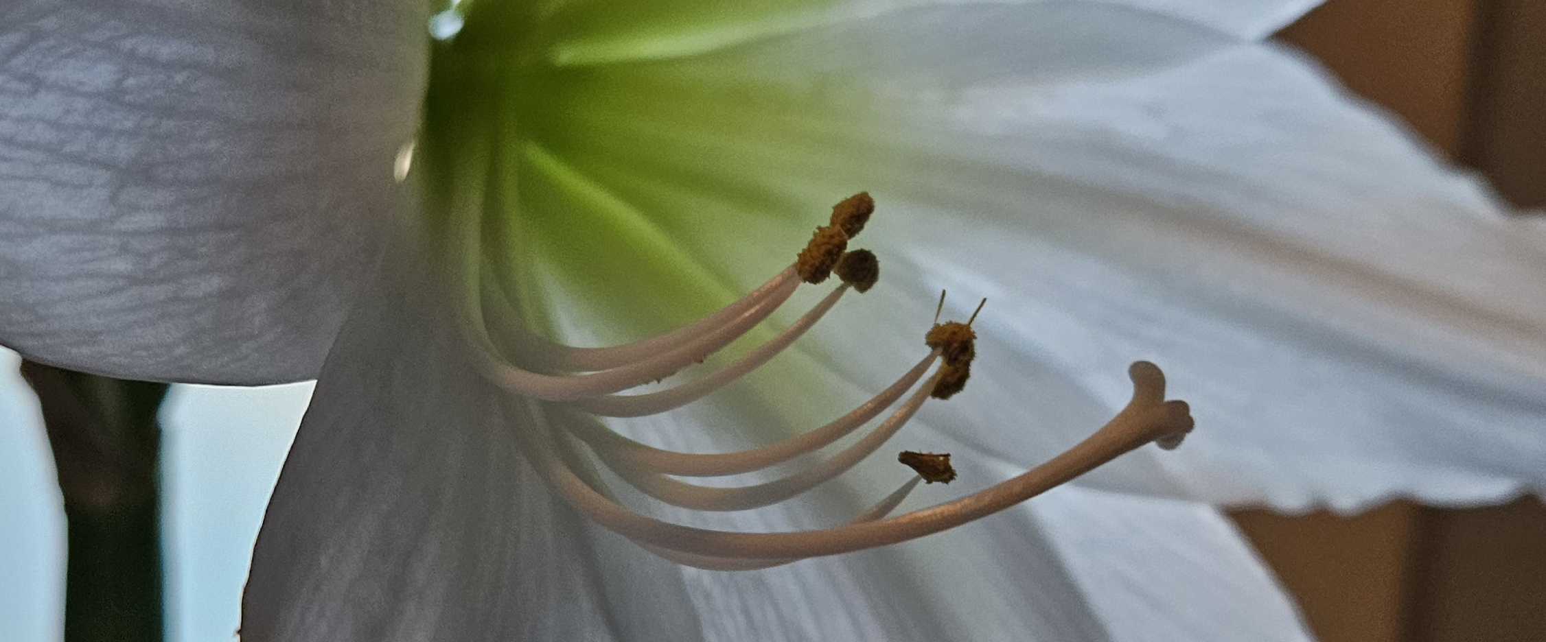 Daily Step Goal - 3000 steps from 30 day Discipline 🏼