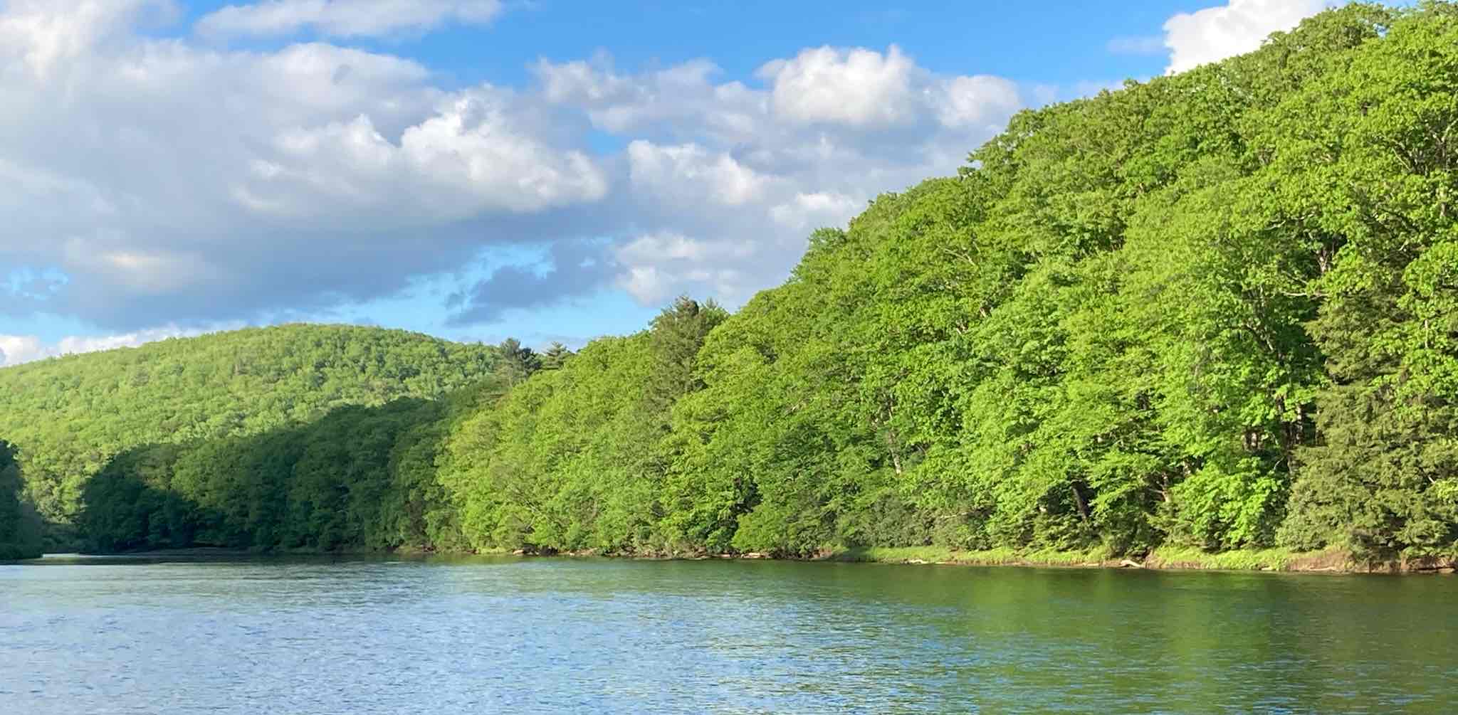 May Steps from Norwayne FFA