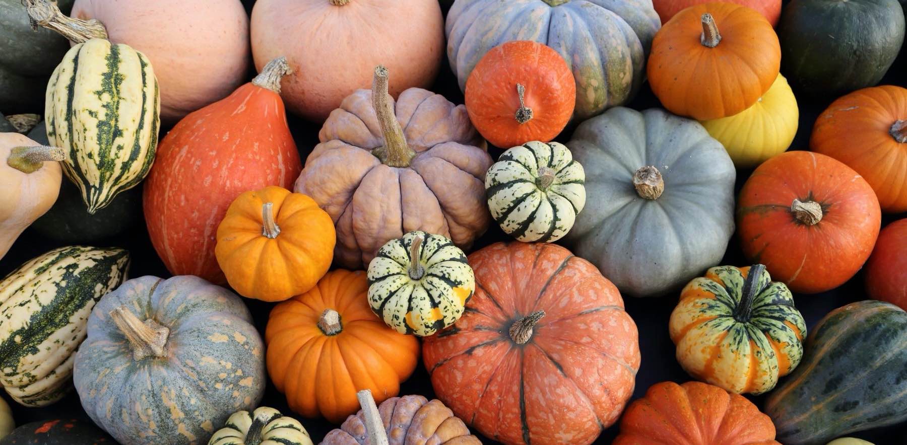 Spooky Challenge🎃👻 from Jas’ team