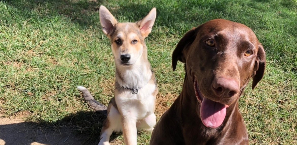 Spring step challenge from MPCNA