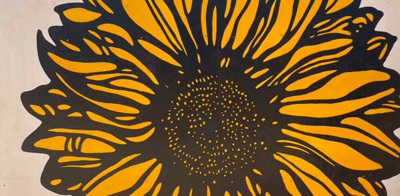 10k Group Steps Challenge from Health & Prayer 💕🛐