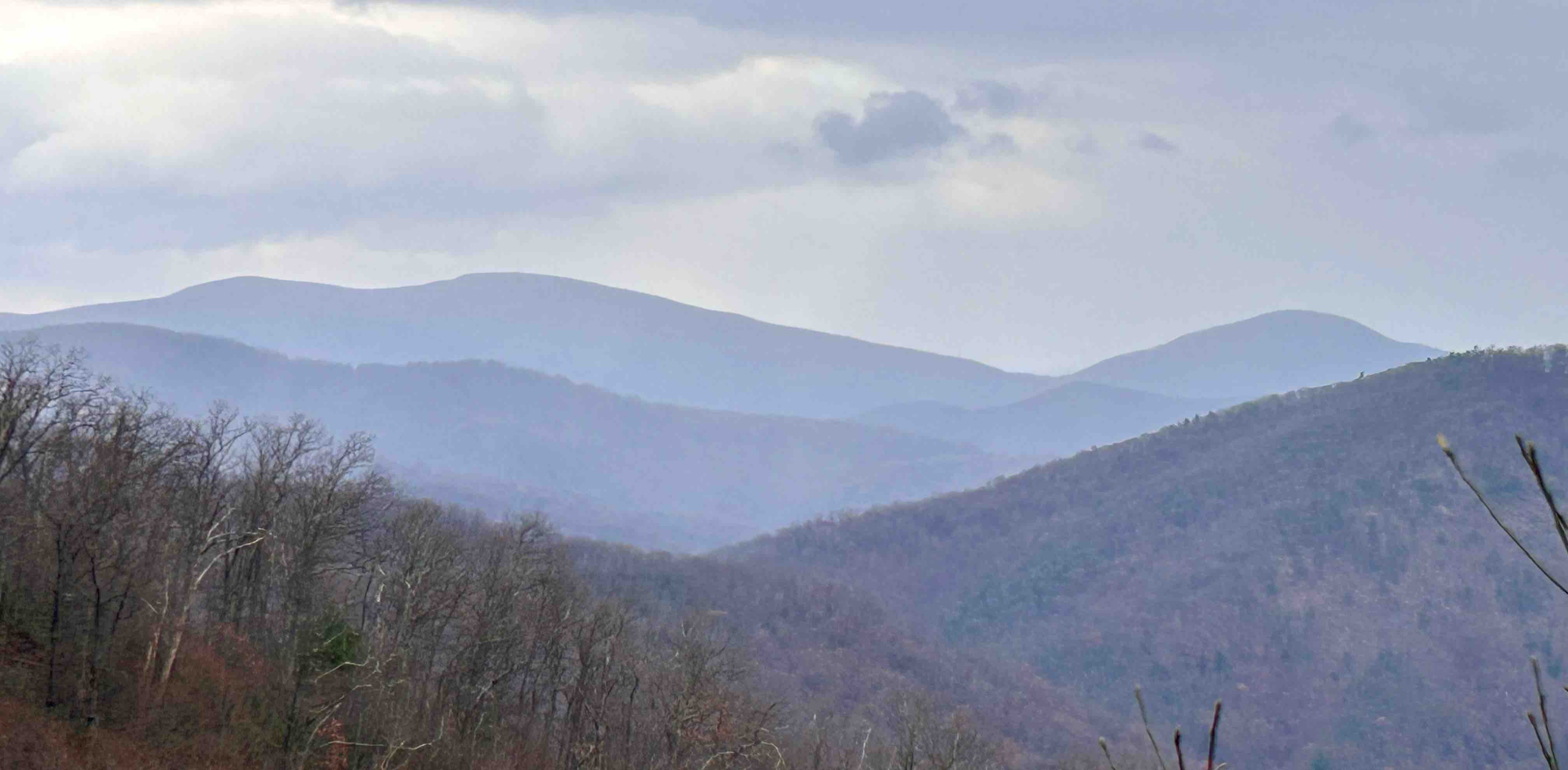 Most Steps in April from Salt Life and Fitness 🏃🏻‍♀️