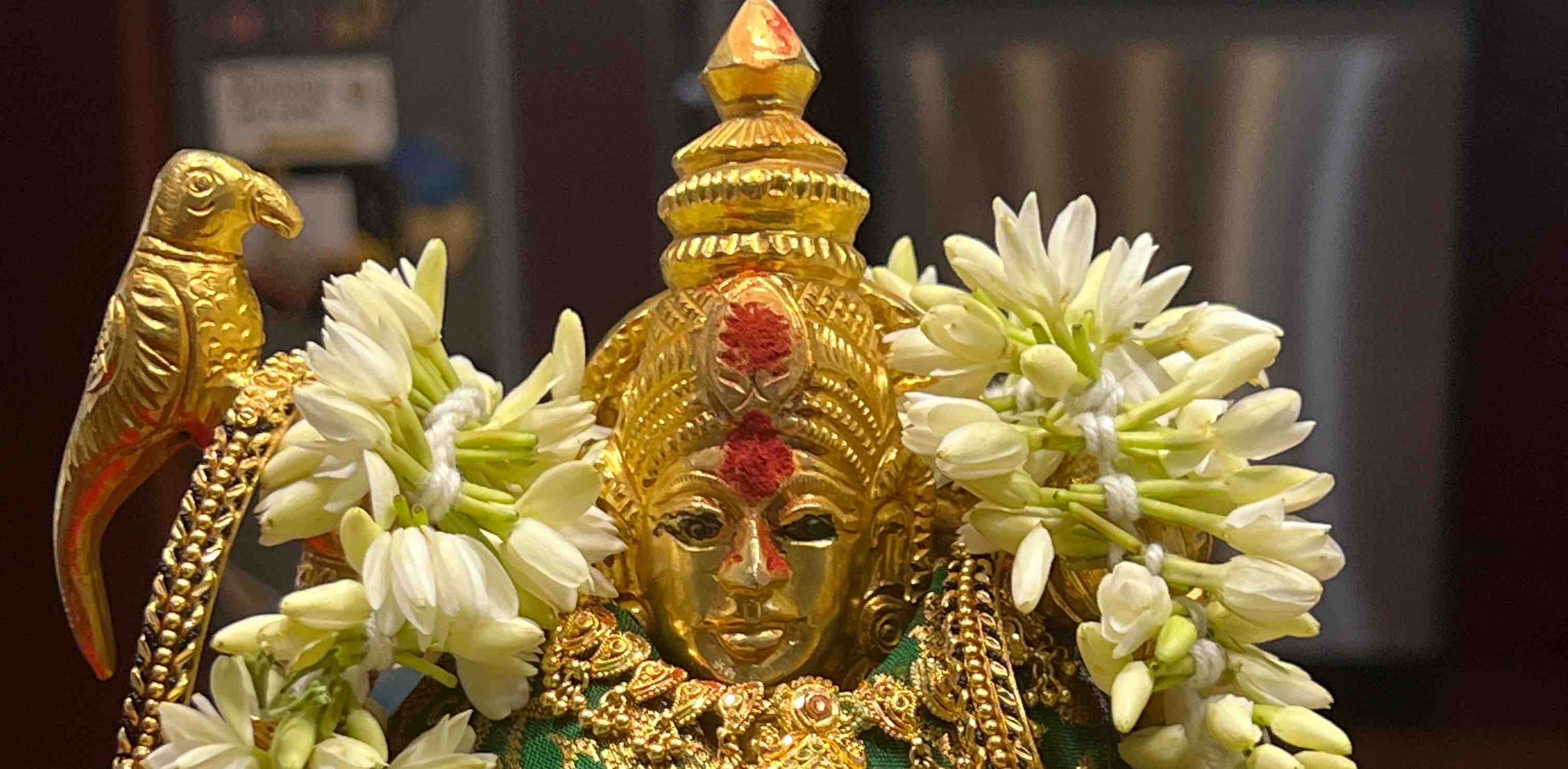 NRIVACT - Walkathon 10K challenge from NRIVACT Walkathon 2025