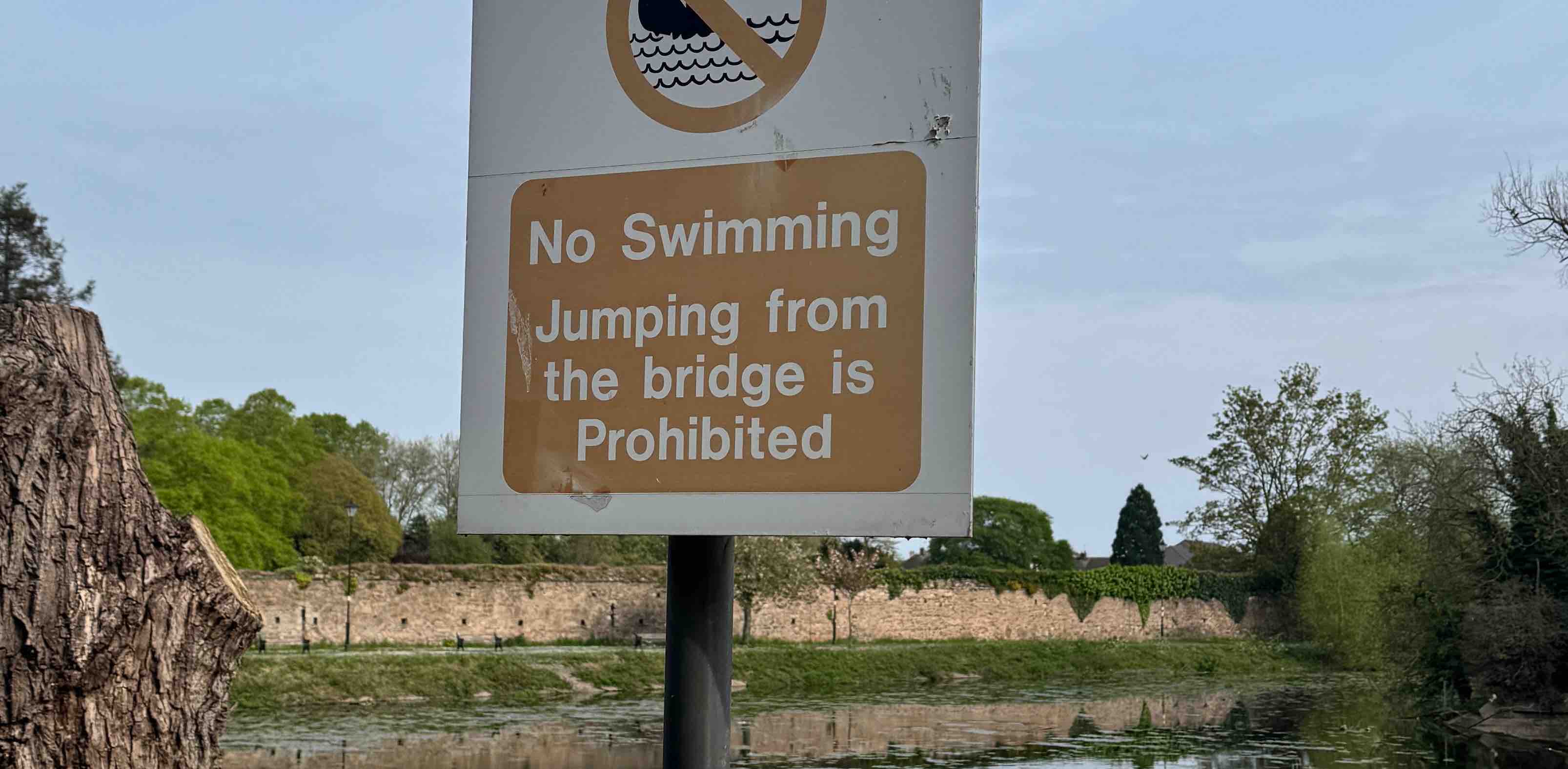 50K steps Challenge from Walkhaholics