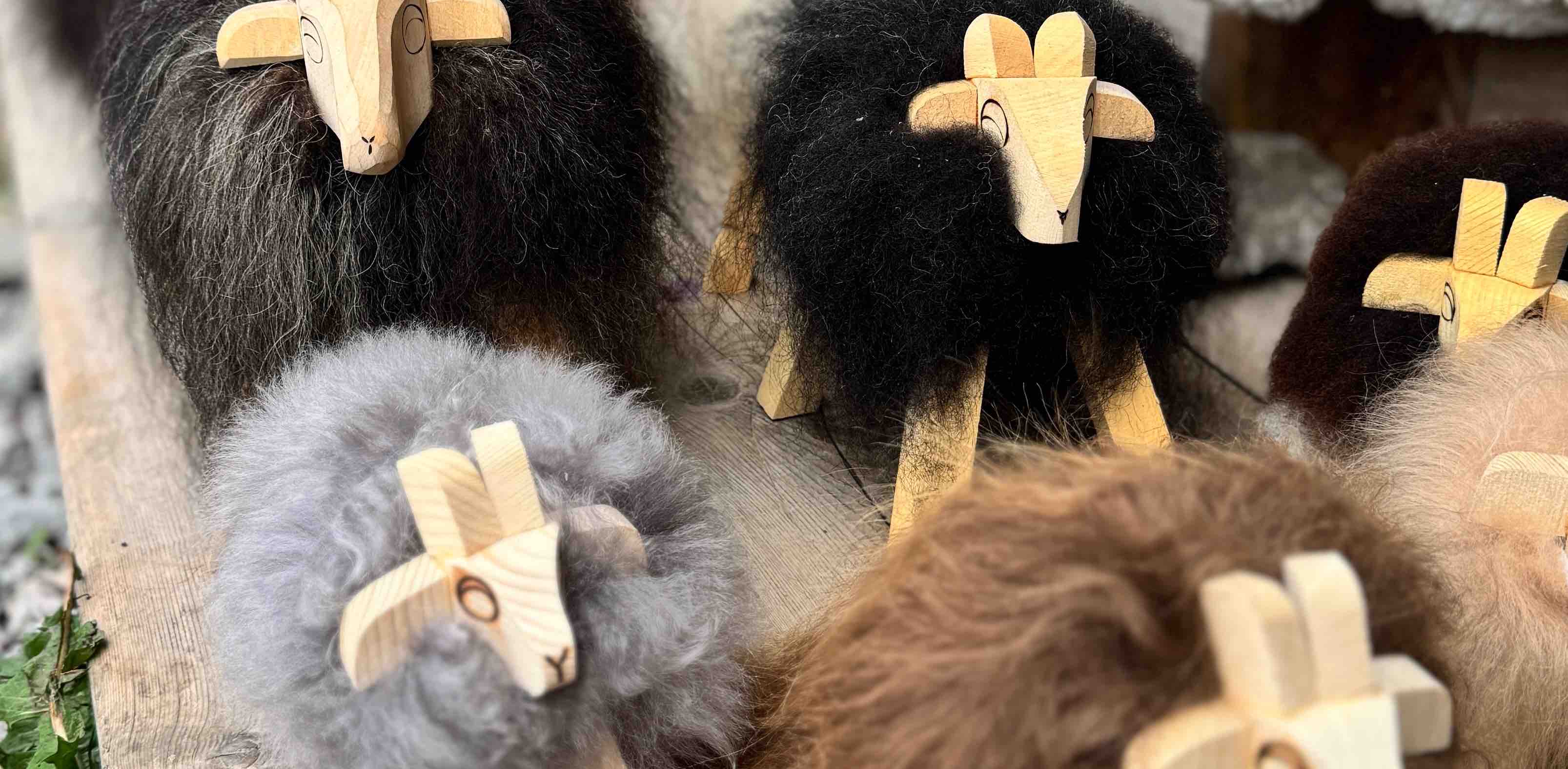 50K steps Challenge from Walkhaholics