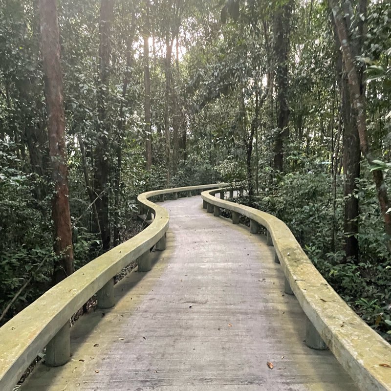 Official E&IF Step Count Challenge #1 | The Pacer Virtual Challenges