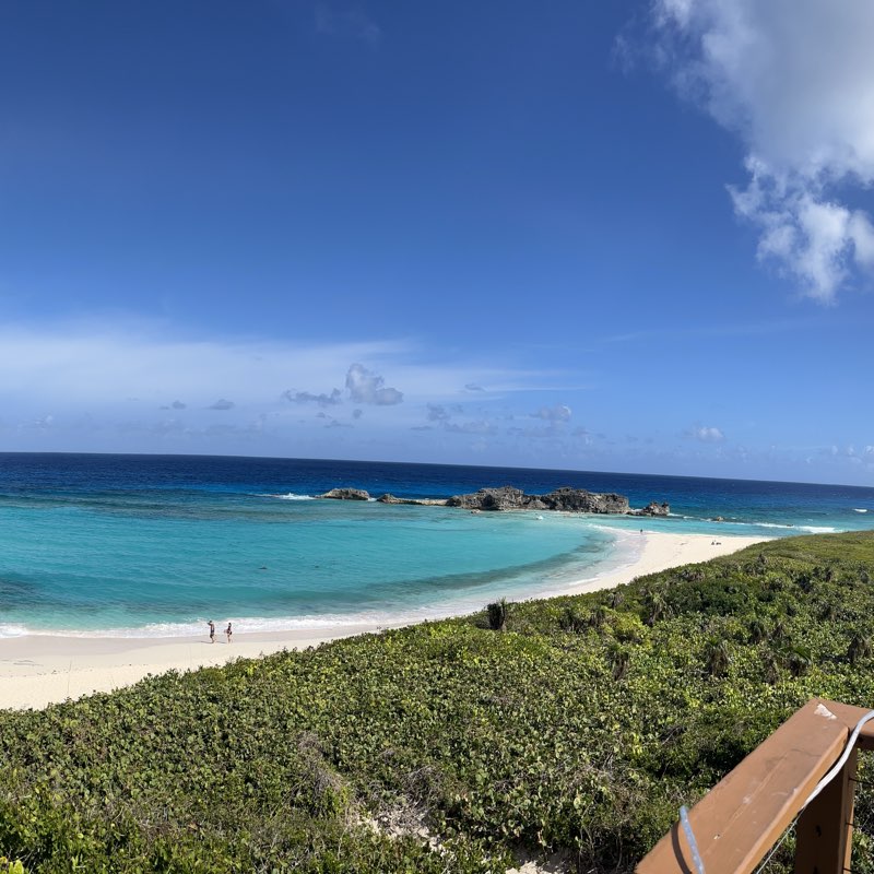 May Step Challenge | The Pacer Virtual Challenges