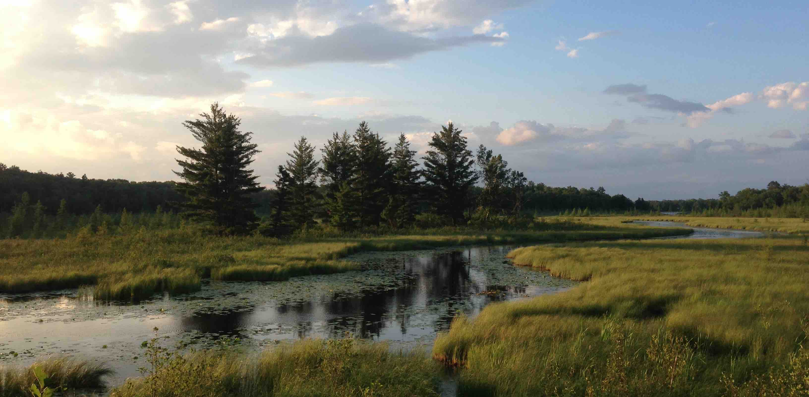 Central MN Steppers - North Saint Cloud, Saint Cloud Walking Club