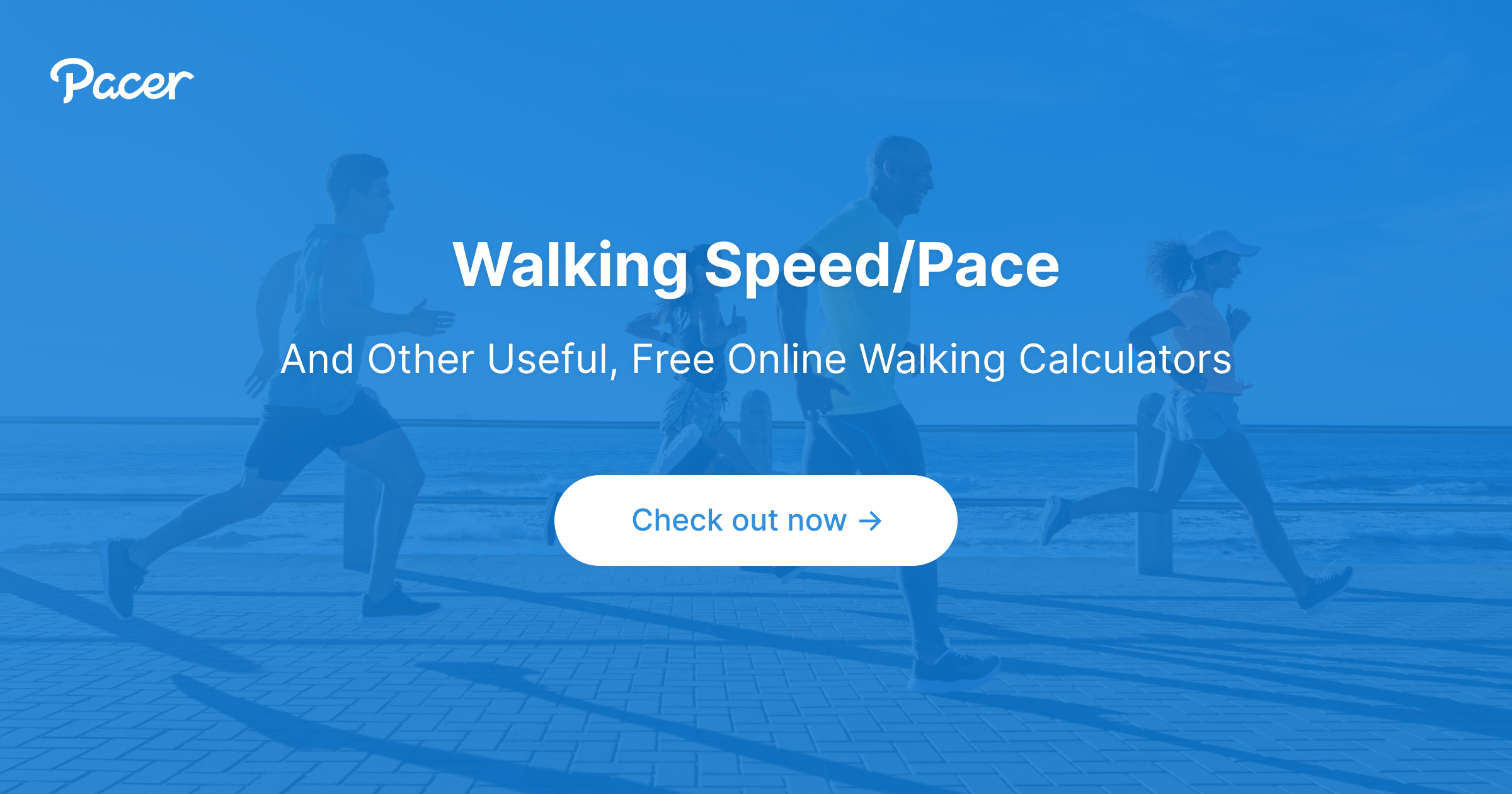Walking Speed and Pace Calculator
