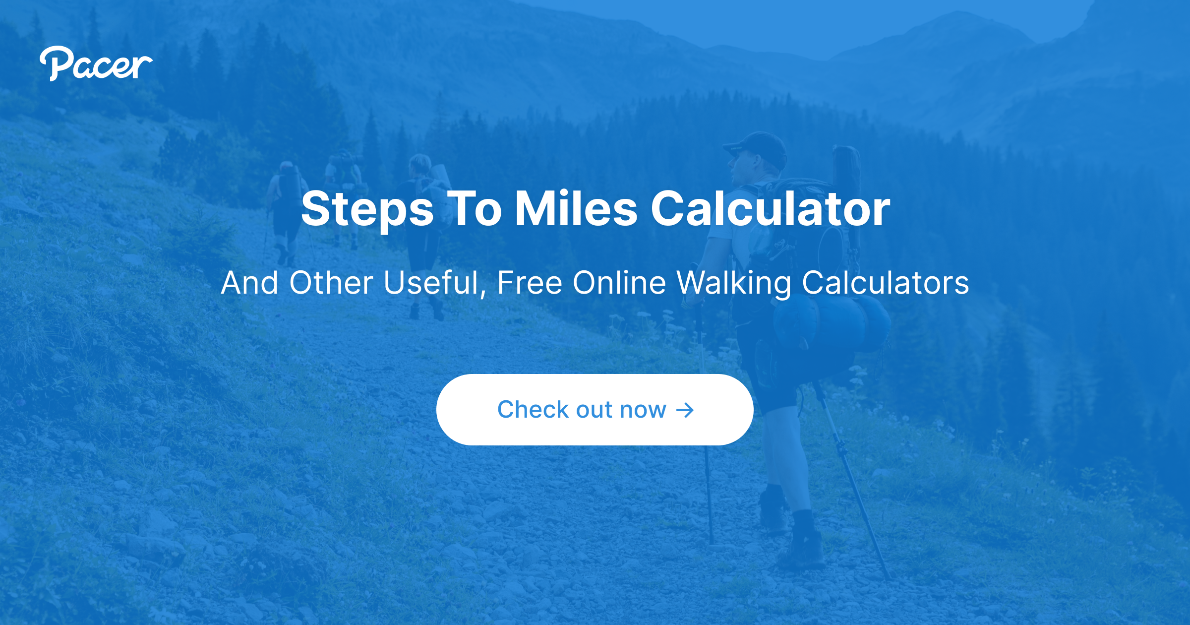 Steps to Miles Calculator