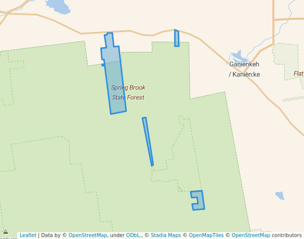 Spring Brook State Forest in Ellenburg Depot | Map and Routes