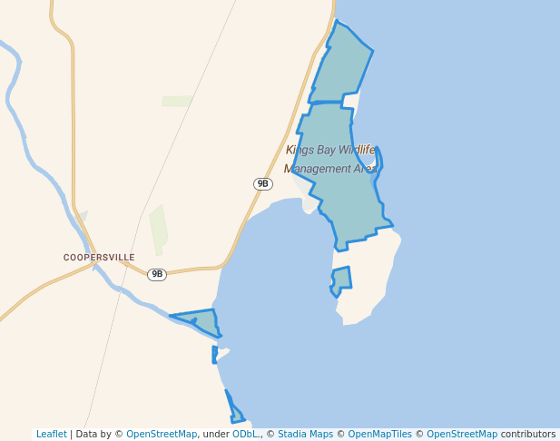 Kings Bay Wildlife Management Area in Champlain | Map and Routes