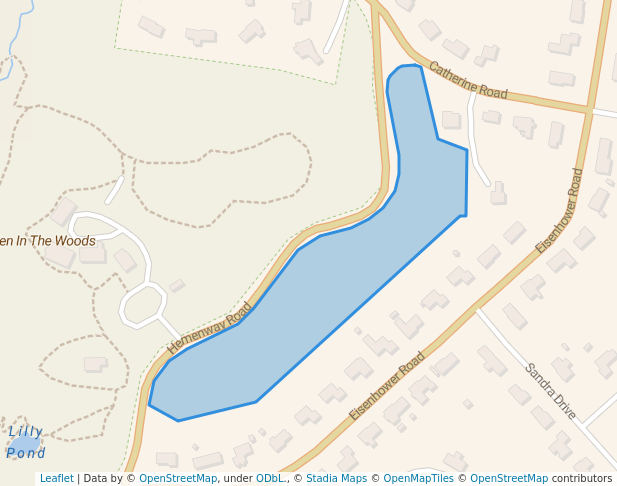 Catherine Road in Framingham | Map and Routes