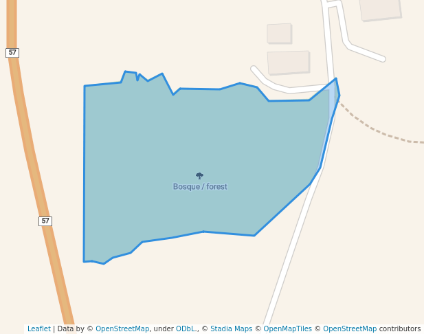 Bosque / forest in Ozu | Map and Routes