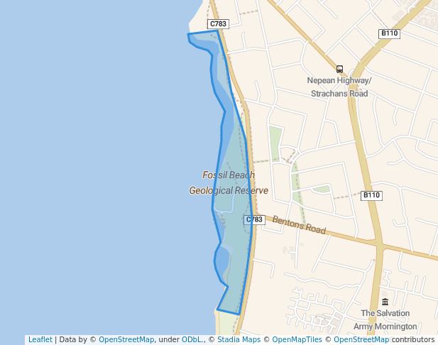 Fossil Beach Geological Reserve in Mornington | Map and Routes
