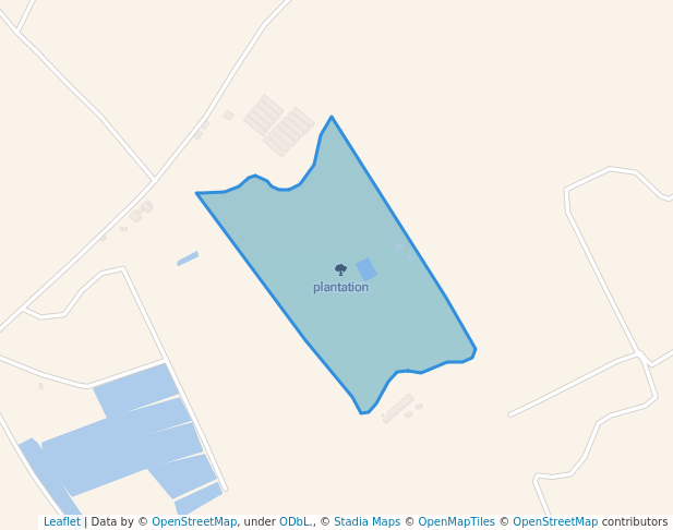 plantation in Baghumaryi Asmad | Map and Routes