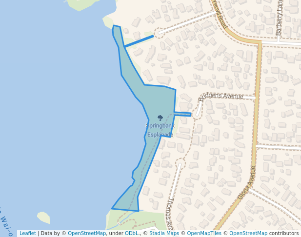 Springbank Esplanade in Auckland | Map and Routes