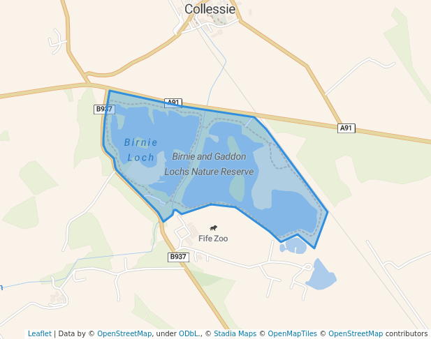 Birnie and Gaddon Lochs Nature Reserve in Ladybank | Map and Routes