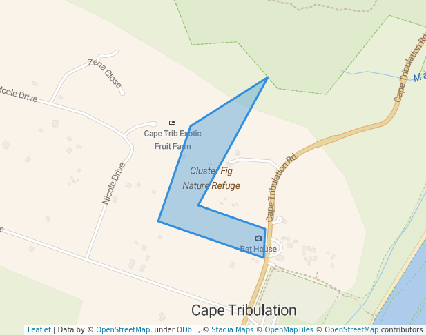 Cluster Fig Nature Refuge in Cape Tribulation | Map and Routes