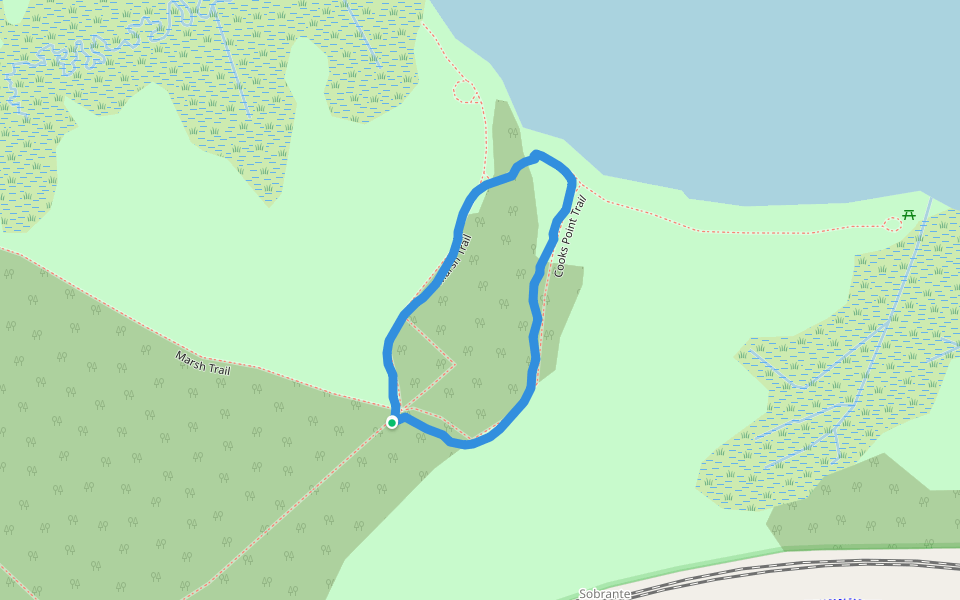 Point Pinole Regional Shoreline Walking And Running Trail - San Pablo ...