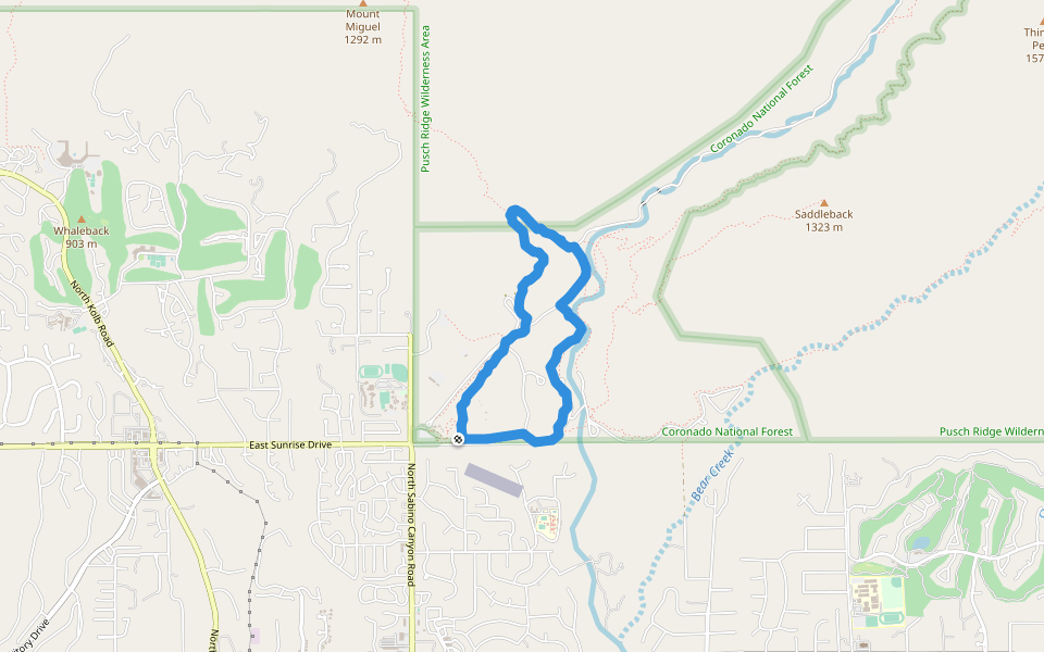 Coronado National Forest Walking And Running Trail - Tucson, Arizona ...