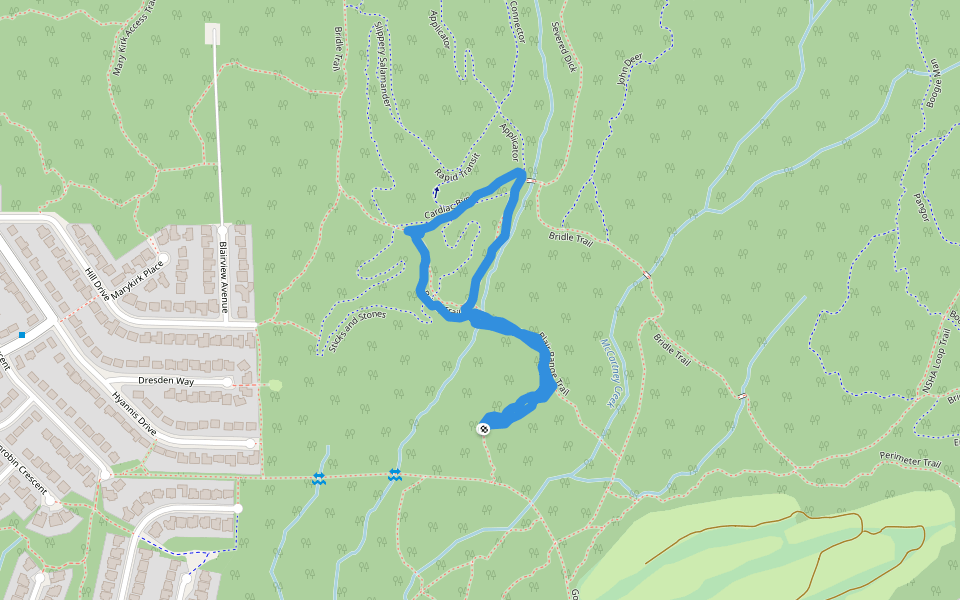 Bridle Trail Hiking - North Vancouver, British Columbia, Canada | Pacer