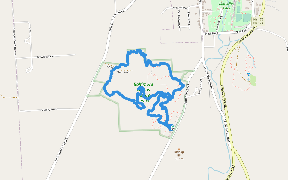 Baltimore Woods Hiking Trail - Marcellus, New York, USA | Pacer