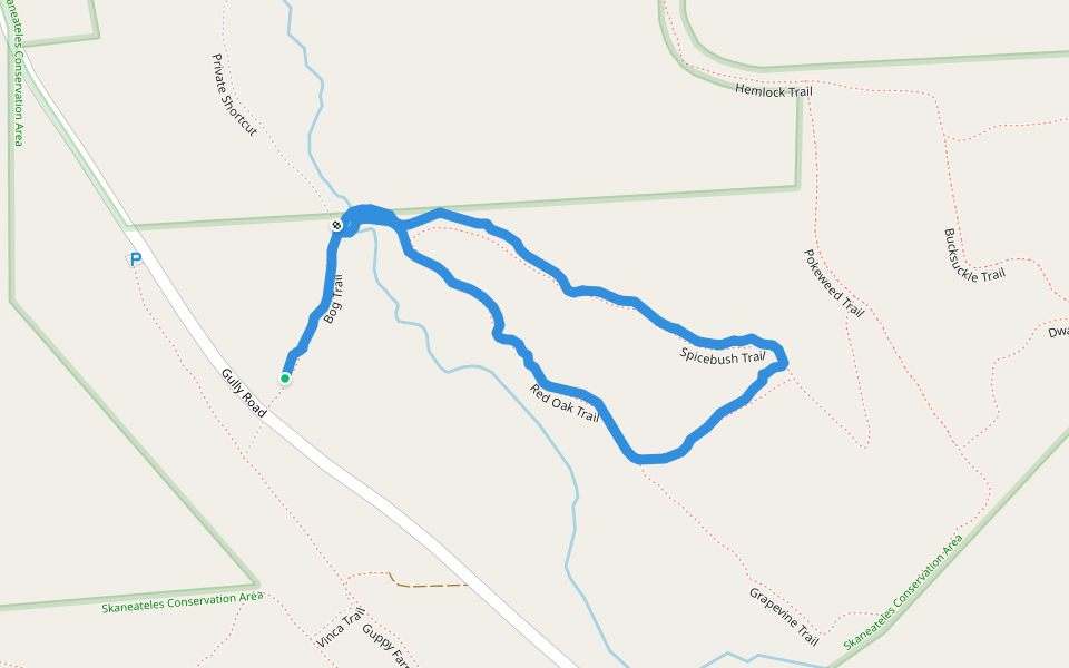 Red Oak Trail Hiking - Marcellus, New York, USA | Pacer