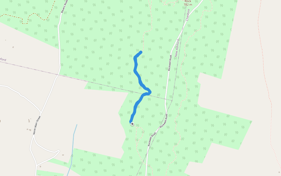 Northrup Trail Hiking - Lanesborough, Massachusetts, USA | Pacer
