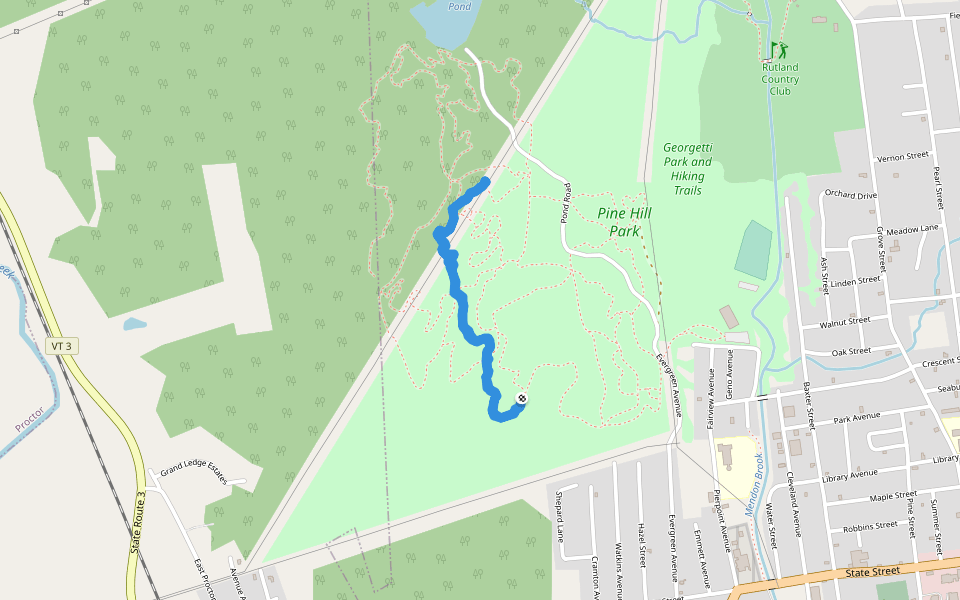 Jersey Turnpike Hiking Trail - Rutland, Vermont, USA | Pacer