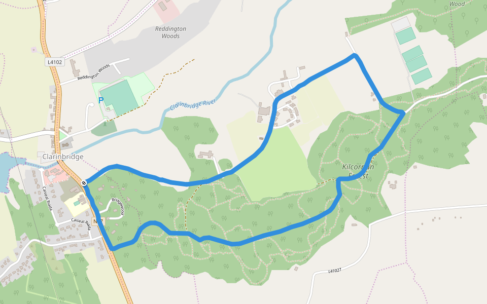 Forêt de Kilcornan Sentier pédestre - Clarinbridge, comté de Galway ...