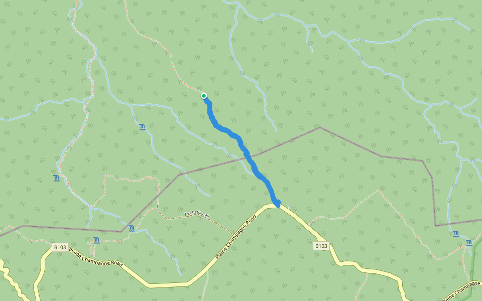 Parakeet trail in Rivière Noire District | Walking Map