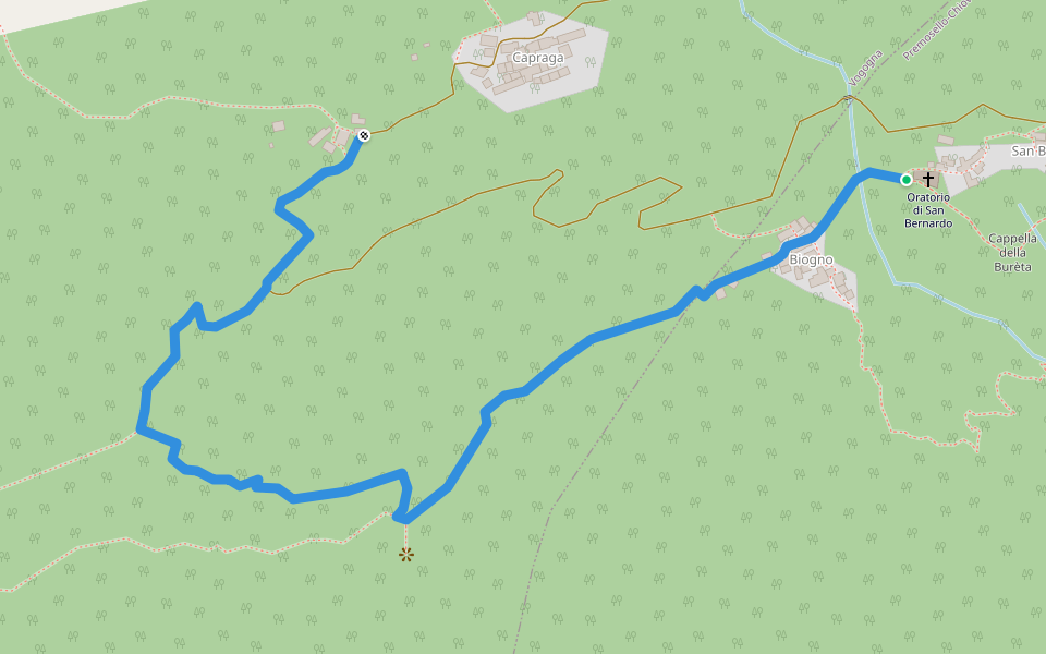 A36a - San Bernardo - Capraga Hiking Trail - Piedmont | Pacer