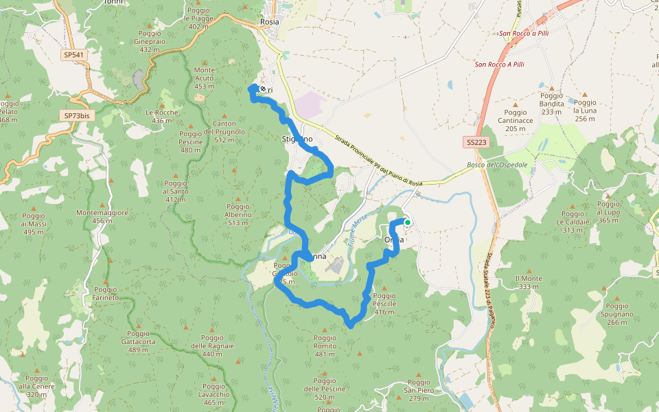 Merse river villages Hiking Trail - Toscana | Pacer