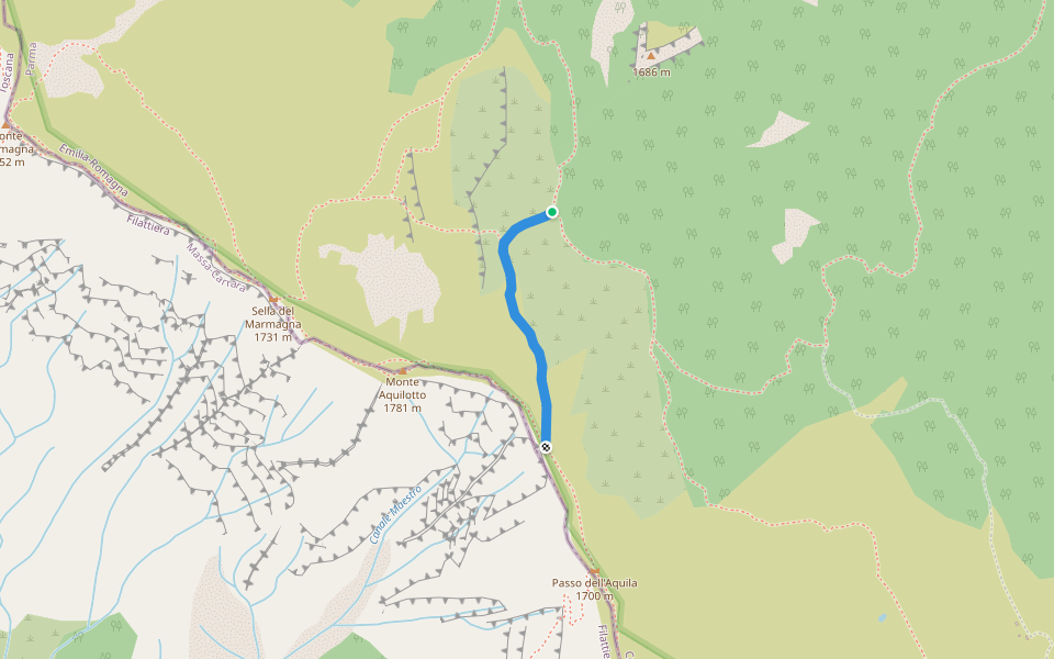 Route 719 - Passo dell'Aquila | Walking Map