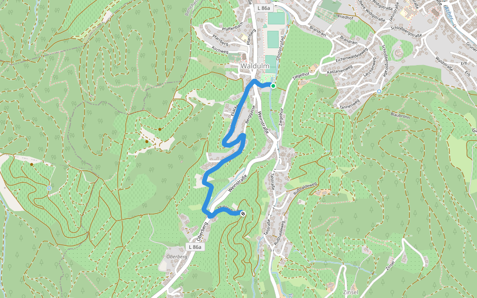 Parque Kurpark Waldulm - Sieter Escalar - Kappelrodeck, Baden ...