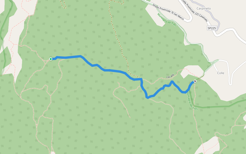 Path of Amnesia Walking And Running Trail - Marche | Pacer