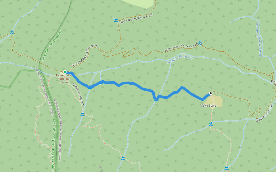 Path of the Rilo Walking And Running Trail - Lombardy | Pacer