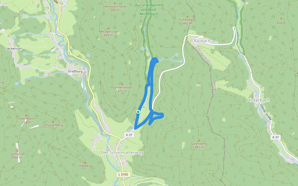 Circular Hiking Trail Waldmichelbach Forest Educational Trail