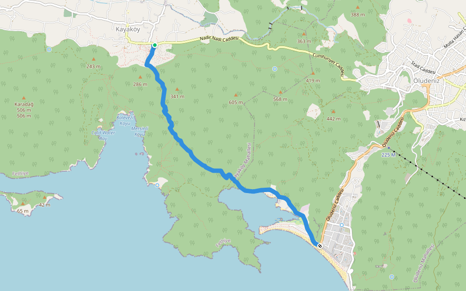 Sendero Fethiye de Kayaköy a Oludeniz Escalar - Provincia de Muğla | Pacer