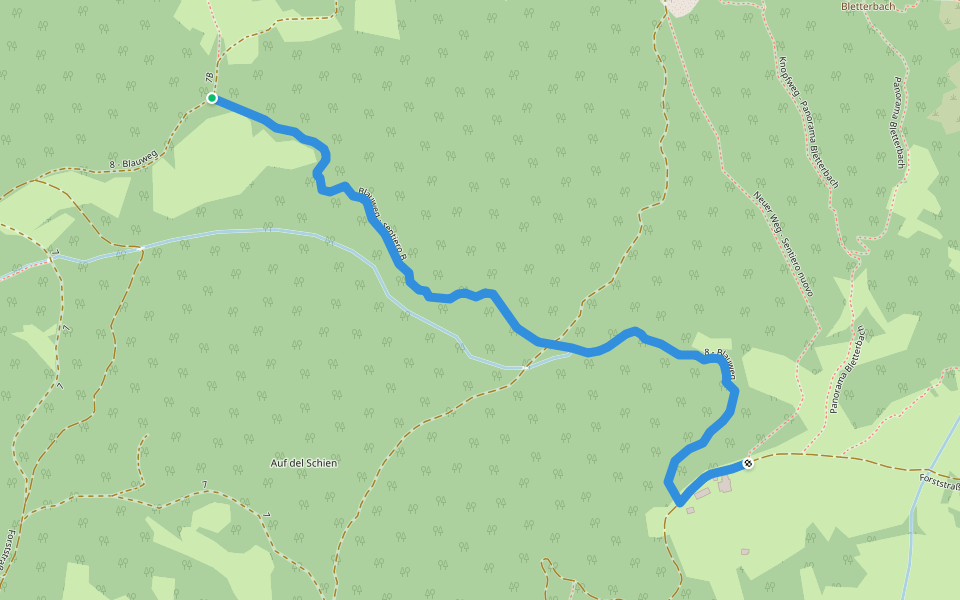 Blueg Hiking Trail - Trentino-Alto Adige | Pacer