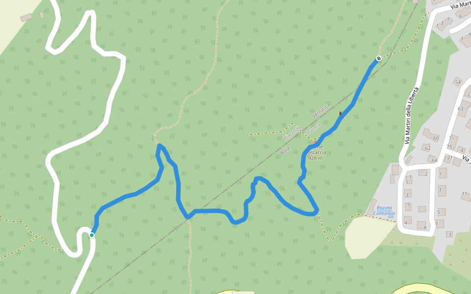 Bocchetta road - Monte Costaccia - Route 923 Hiking - Bore, Emilia ...
