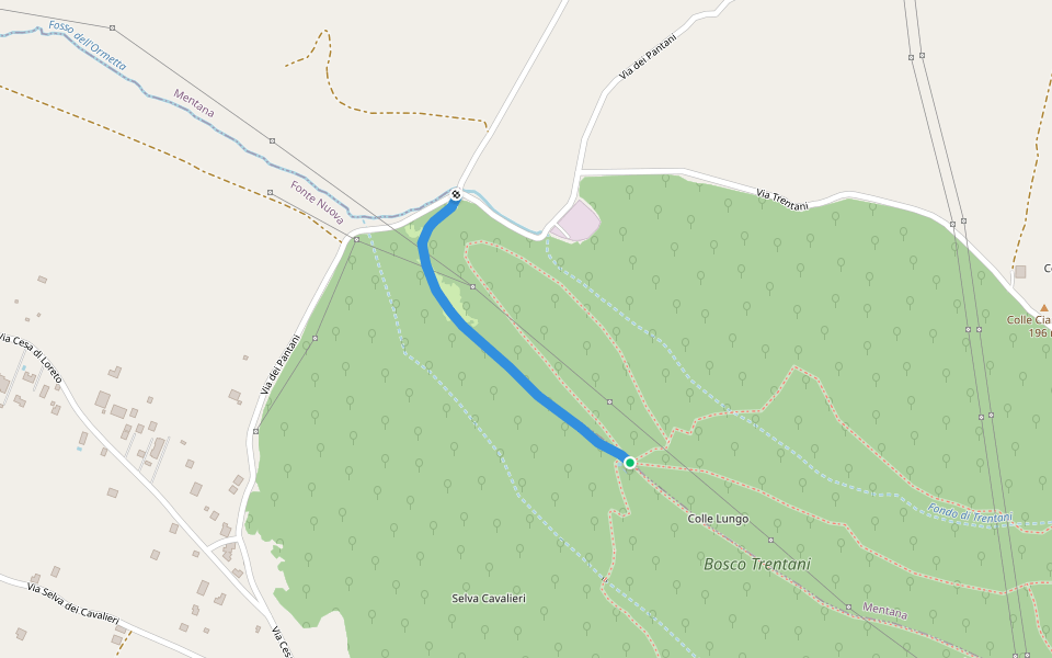 491C Walking And Running Trail - Lazio | Pacer