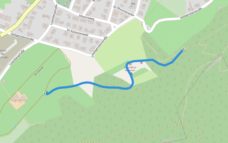 Losenberg - Unterm Heiligenstein Sentier pédestre - Baden-Baden, Bade ...