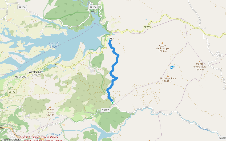 Path of the pine forest | Walking Map