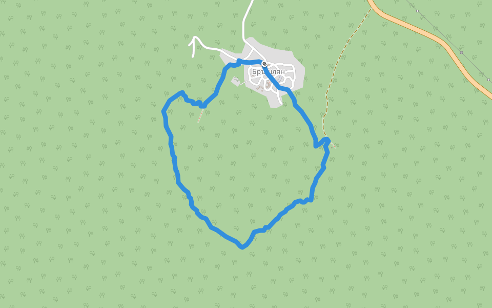 The herbs of Strandzha Hiking Trail - Brashlyan, Burgas | Pacer